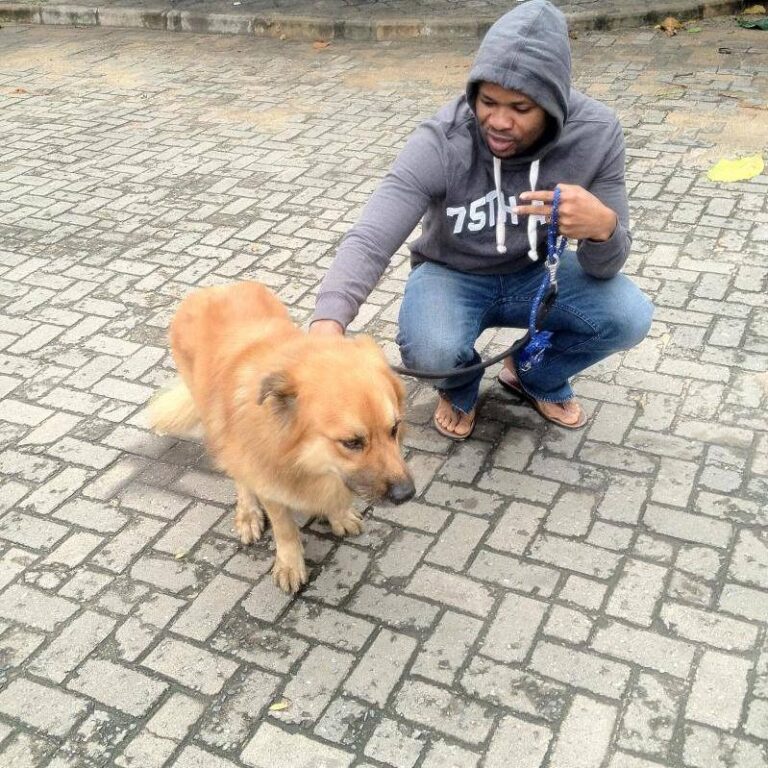 Meet Big Brother: Ejike Ibedilo, the man behind the voice in BBNaija ...