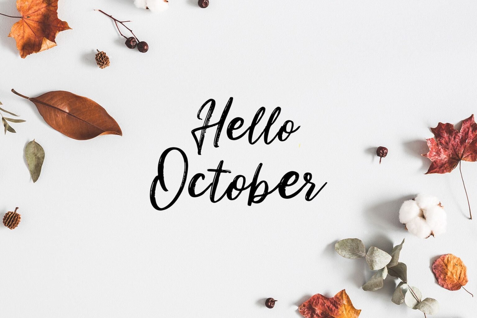 Top 10 quotes and 50 Happy New Month Messages for October 2025 - Idoma ...