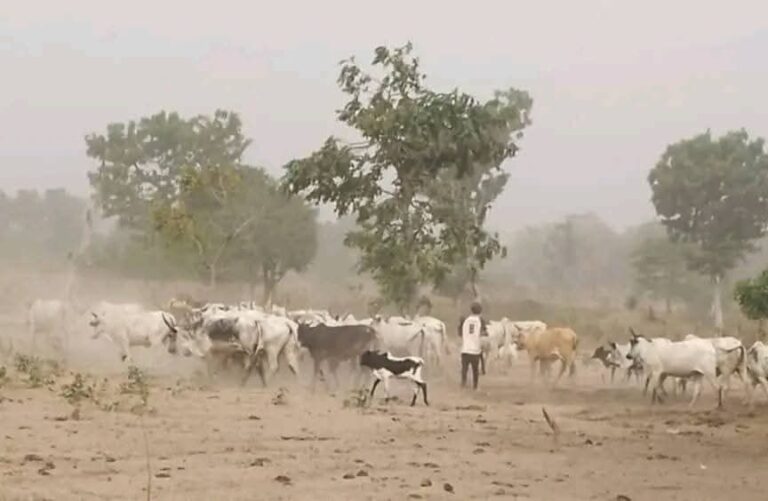 Tension rises in Taraba as Wukari communities cry out over security ...